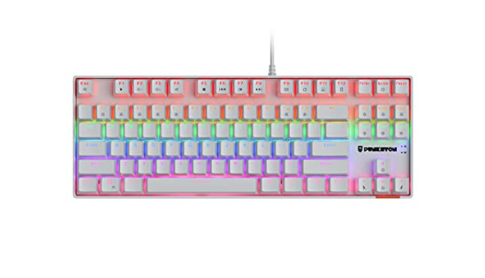 Punkston TK87 Mechanical Gaming Keyboard, RGB Rainbow LED Backlit TKL ...