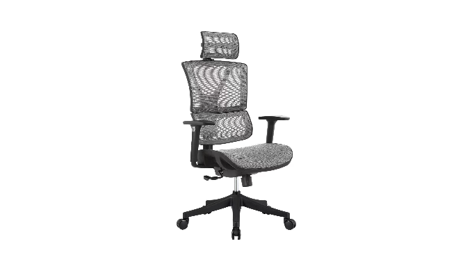 ERGOUP Ergonomic Office Chair Computer Desk Chiar Mesh High Back Desk ...
