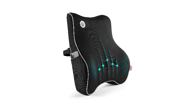 Lumbar Support Pillow,Memory Foam Back Support for Office Chair ...