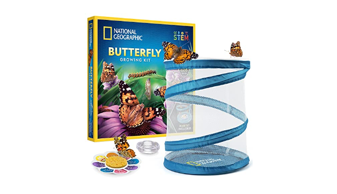 NATIONAL GEOGRAPHIC Butterfly Growing Kit - Butterfly Habitat Kit with ...