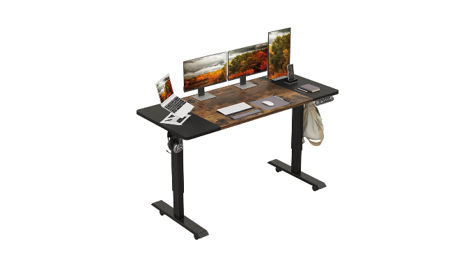 55″ x 24″ Height Adjustable Electric Standing Desk, Sit and Stand Home ...