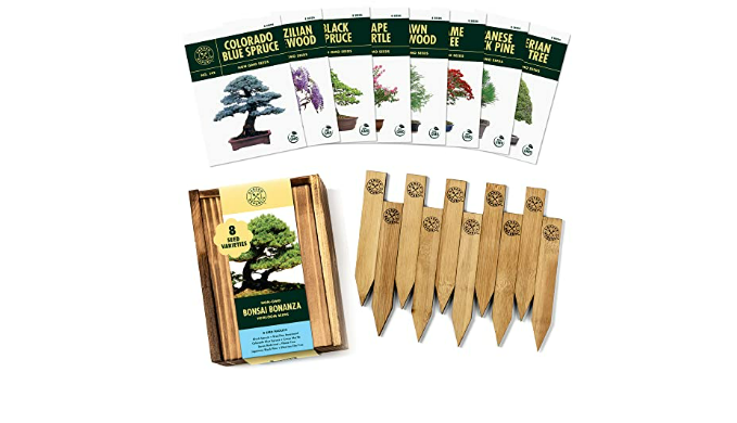 Bonsai Tree Seeds Kit - 8 Popular Varieties of Non GMO Mini Bonsai ...