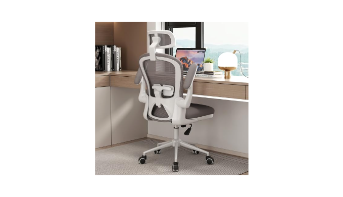 Apusen Ergonomic Office Chairs with Adjustable Lumbar Support,Mesh Desk ...