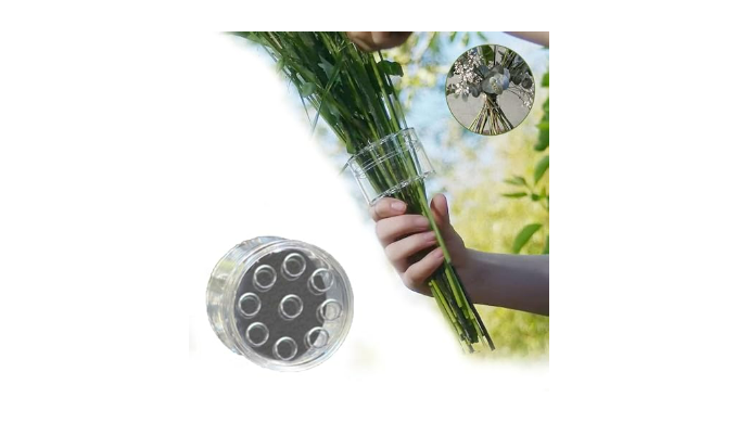 HYMEVROS Spiral Ikebana Stem Holder Spiral Stem Holder DIY Bouquet ...