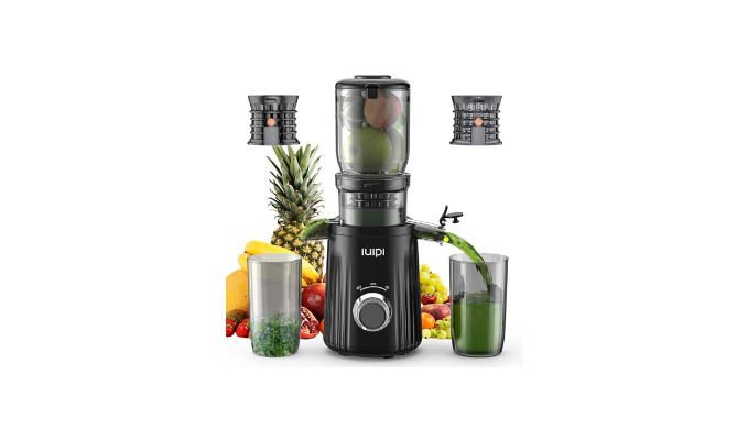 Cold Press Juicer, Slow Masticating Juicer Machines for Whole Vegetable ...