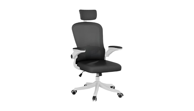 AORTD Office Chair, High Back Ergonomic Desk Chair with Adjustable Arms ...