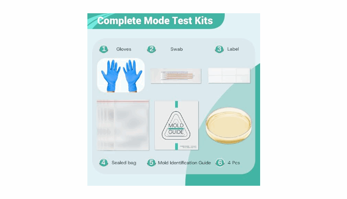 Mold Test Kit for Home Detection: 12 Simple DIY Science Kits for Fastly ...