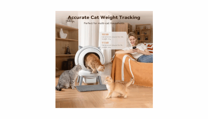 ZHMZ Self Cleaning Litter Box: Automatic Litter Box Self Cleaning for ...