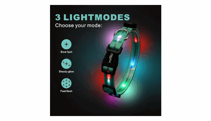 Light up Dog Collars, LED Dog Collar, Lighted Safety Collar for Walking ...