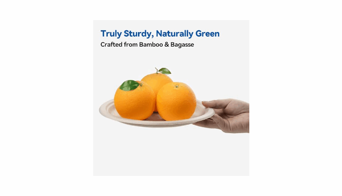 Leafory 9 Inch Compostable Paper Plates 125 Pack – Heavy Duty, Eco ...