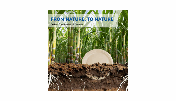 Leafory 9 Inch Compostable Paper Plates 125 Pack – Heavy Duty, Eco ...