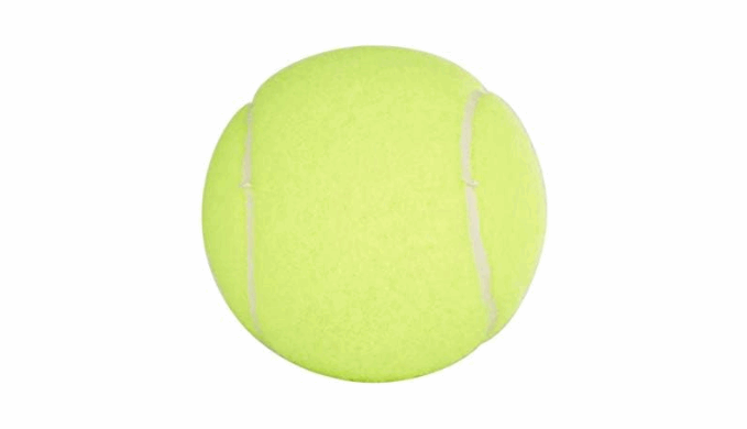 Penn Championship Tennis Balls - Regular Duty Felt Pressurized Tennis ...