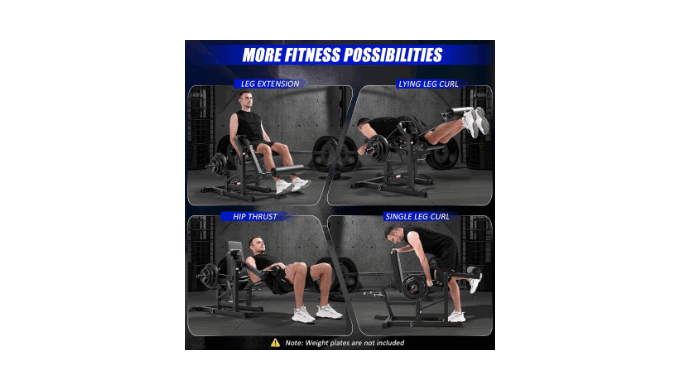 ANCHEER Leg Extension and Curl Machine, Adjustable Leg Curl Machine ...
